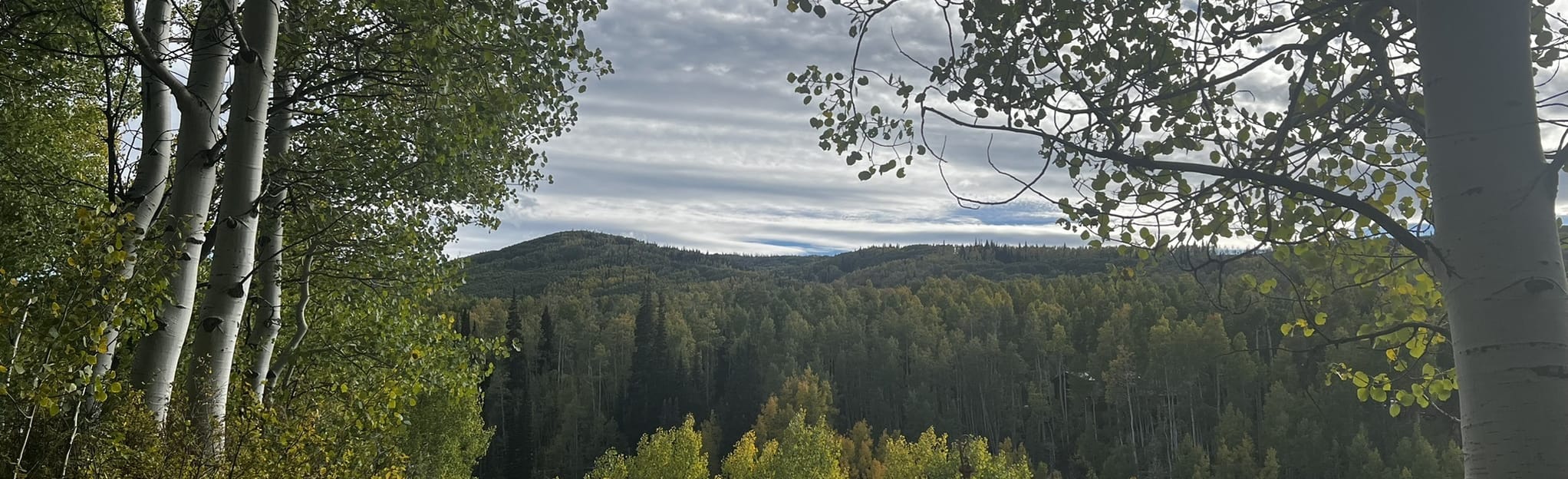 Moose Loop [PRIVATE PROPERTY]: 30 Reviews, Map - Utah | AllTrails