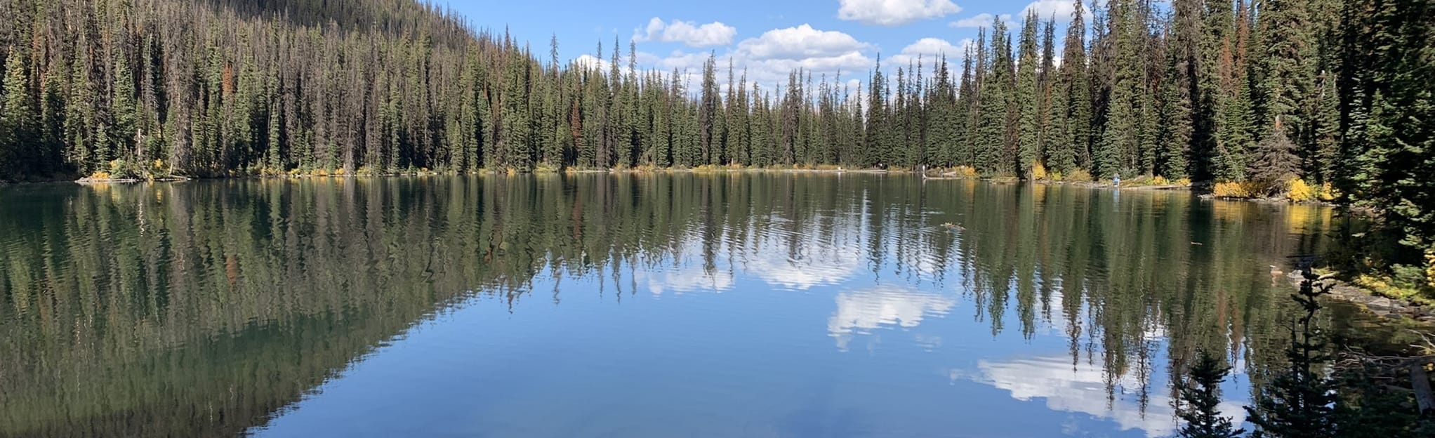 Sarrail Ridge via Rawson Lake Trail: 4.552 foto - Alberta, Canada ...