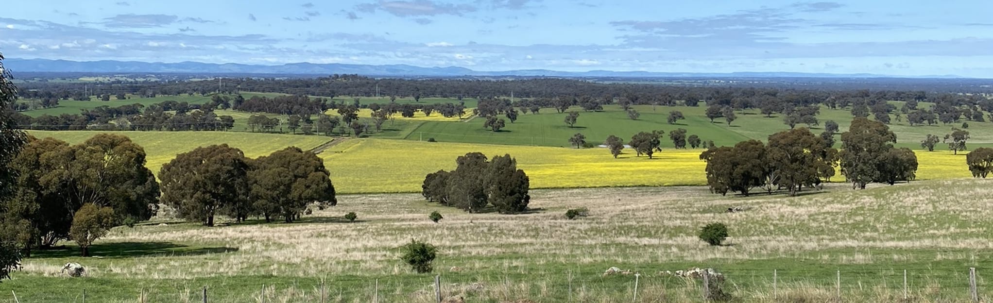 Mount Major Extended Circuit: 18 Reviews, Map - Victoria, Australia ...