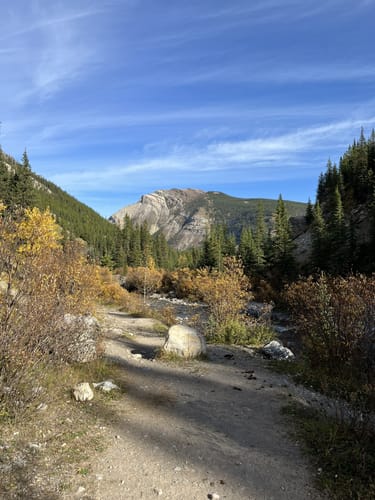 2023: Beste Routen in der Umgebung von Luscar Mountain | AllTrails