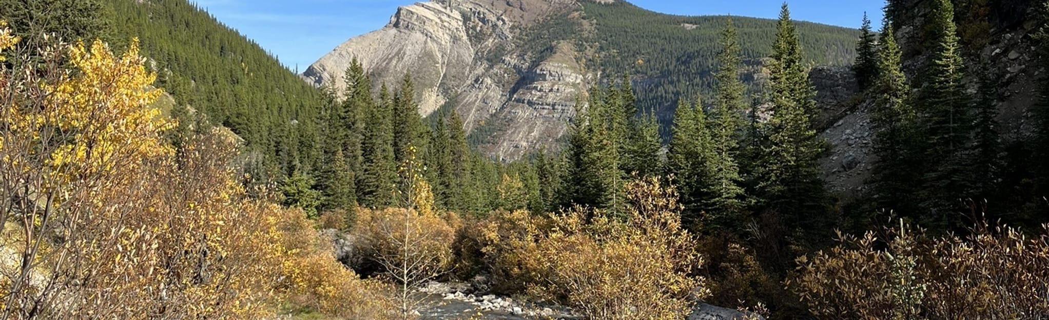 Luscar Mountain: 1 Reviews, Map - Alberta, Canada | AllTrails