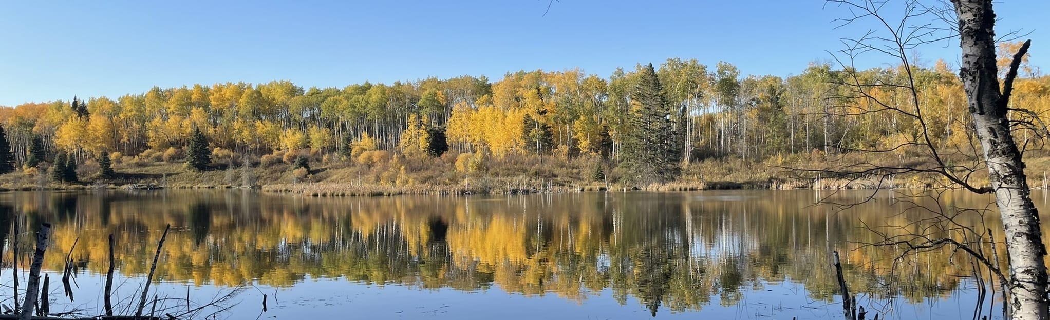 Spruce River Highlands Trail: 115 Reviews, Map - Saskatchewan, Canada ...