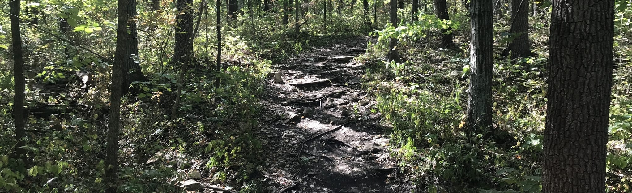 Lawrence Nature Park Loop Trail: 146 Reviews, Map - Kansas | AllTrails