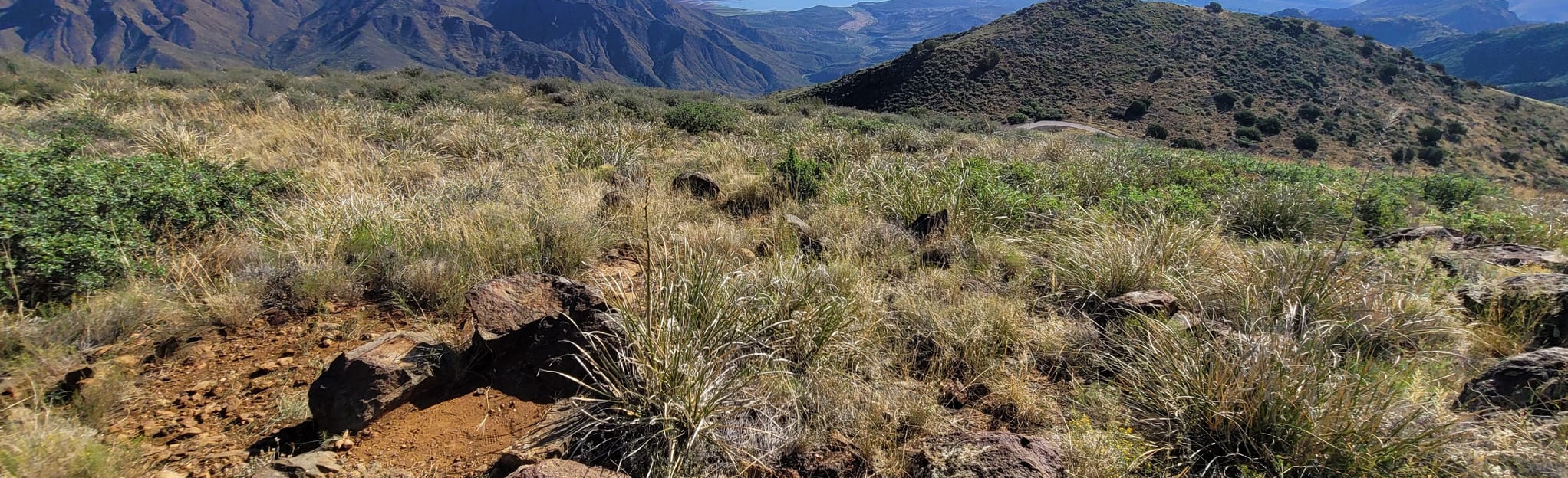 Verde River Sheep Bridge from Cave Creek: 112 Reviews, Map - Arizona ...