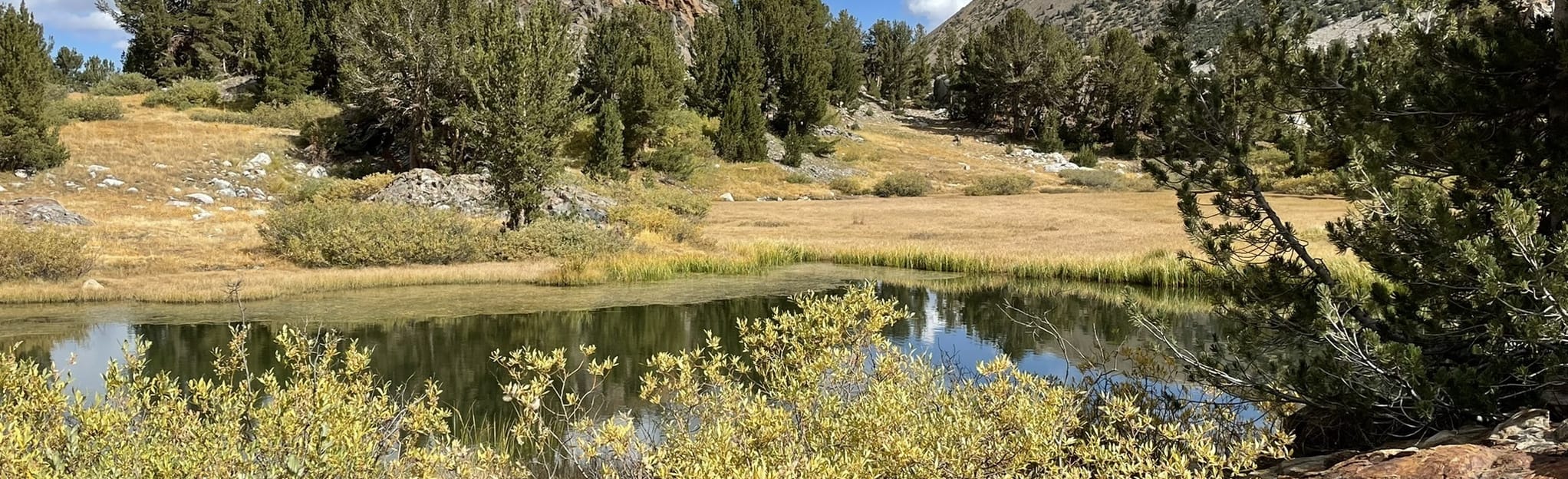 Muir Pass via Bishop Pass, California - 11 Reviews, Map | AllTrails