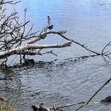 Carter Lake Trail, Alaska - 313 Reviews, Map | AllTrails