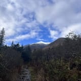 Carter Lake Trail, Alaska - 313 Reviews, Map | AllTrails