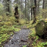 Indian River Trail, Alaska - 222 Reviews, Map | AllTrails