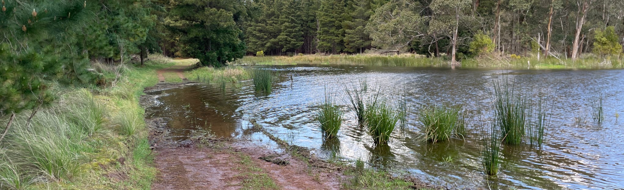 Moorabool Reservior Loop, Victoria, Australia - 16 Reviews, Map | AllTrails