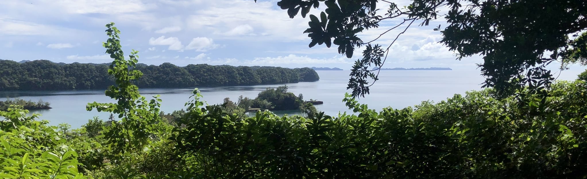 Palau Pacific Resort Nature Trail | Map, Guide - Koror, Palau | AllTrails
