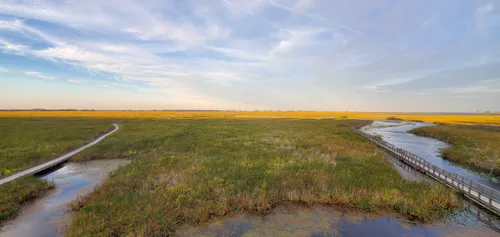 Best River Trails in Point Pelee National Park | AllTrails