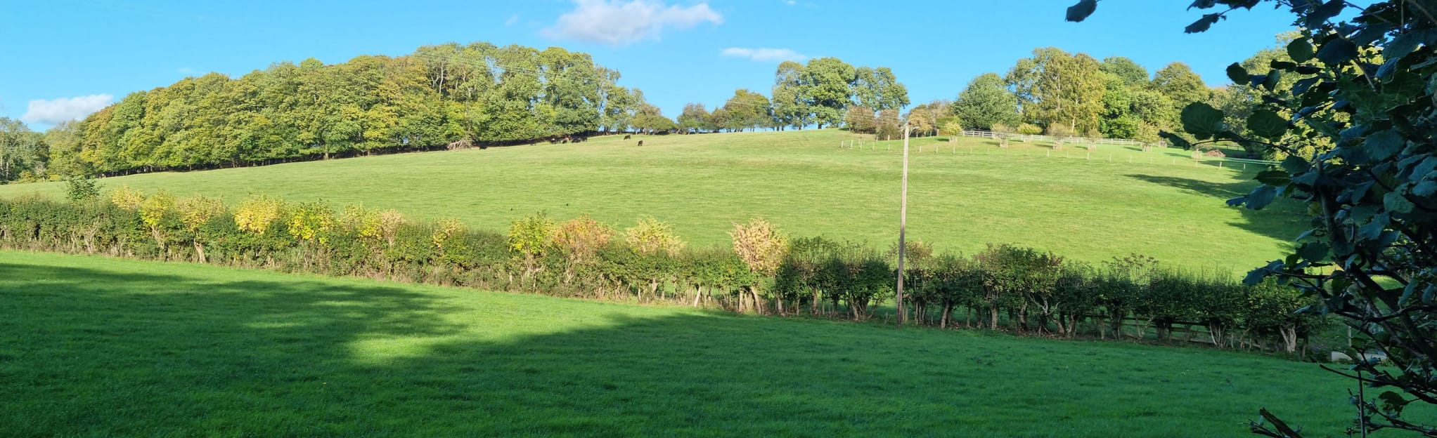Highmoor and Bush Wood Circular - Oxfordshire, England | AllTrails