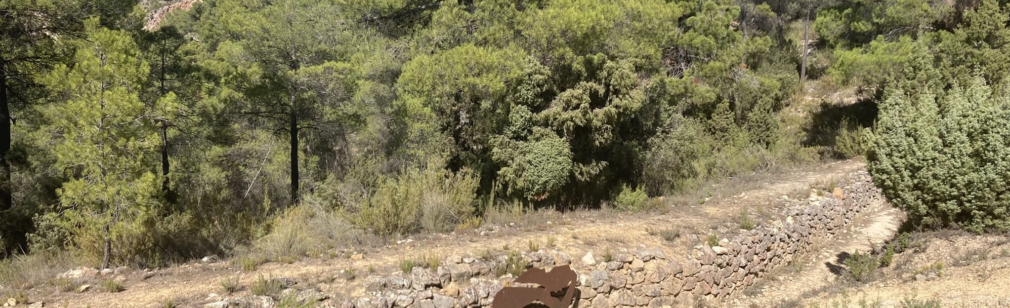 Trincheras de Contreras: 1 Reviews, Map - Valencia, Spain | AllTrails