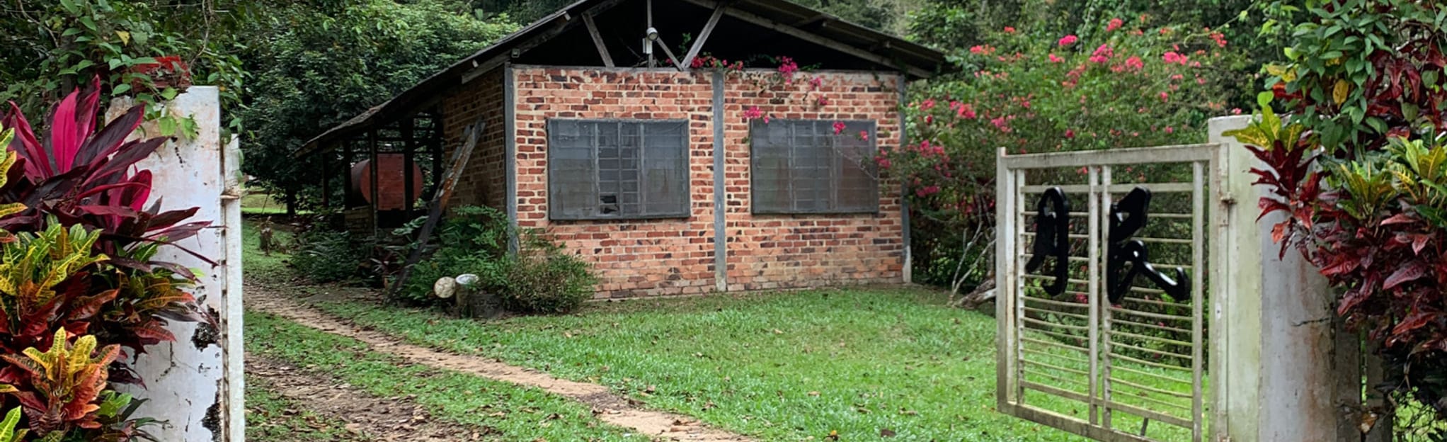 Gunung Muntahak via Canopy Tribes, Johor, Malaysia - Map, Guide | AllTrails