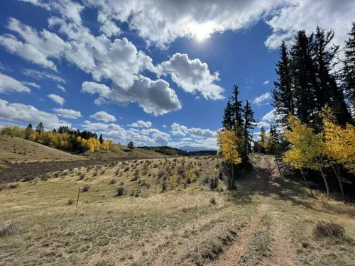 10 Best Trails and Hikes in Divide | AllTrails