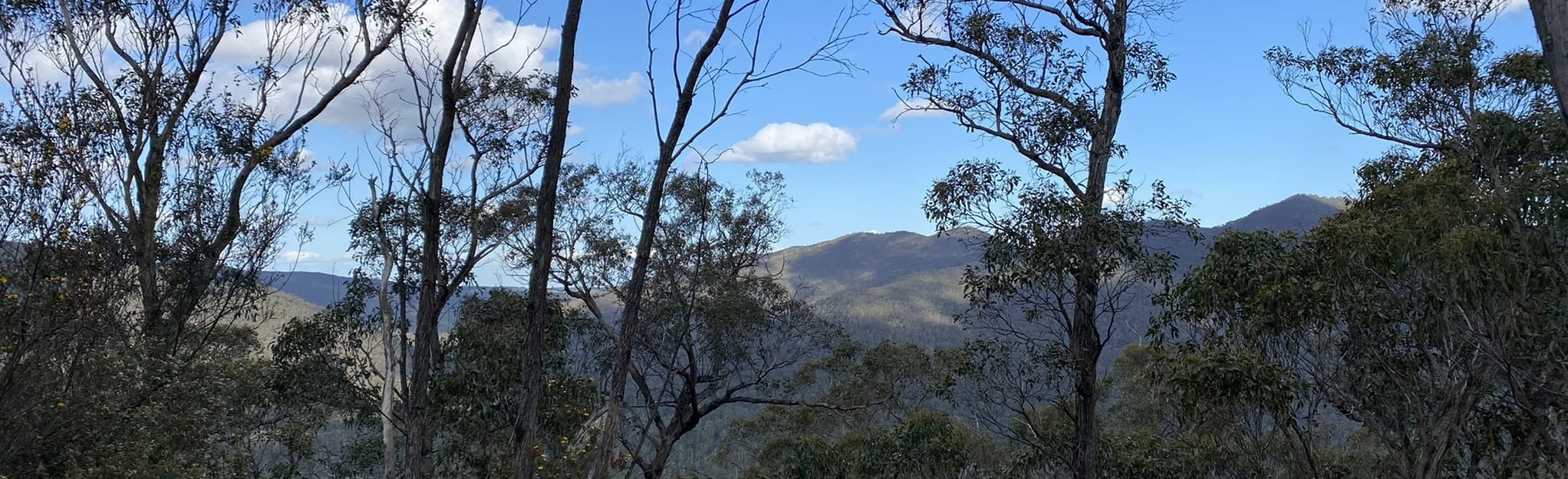Teddy Bear Gap Loop from Jimmy Creek Campground - Victoria, Australia ...