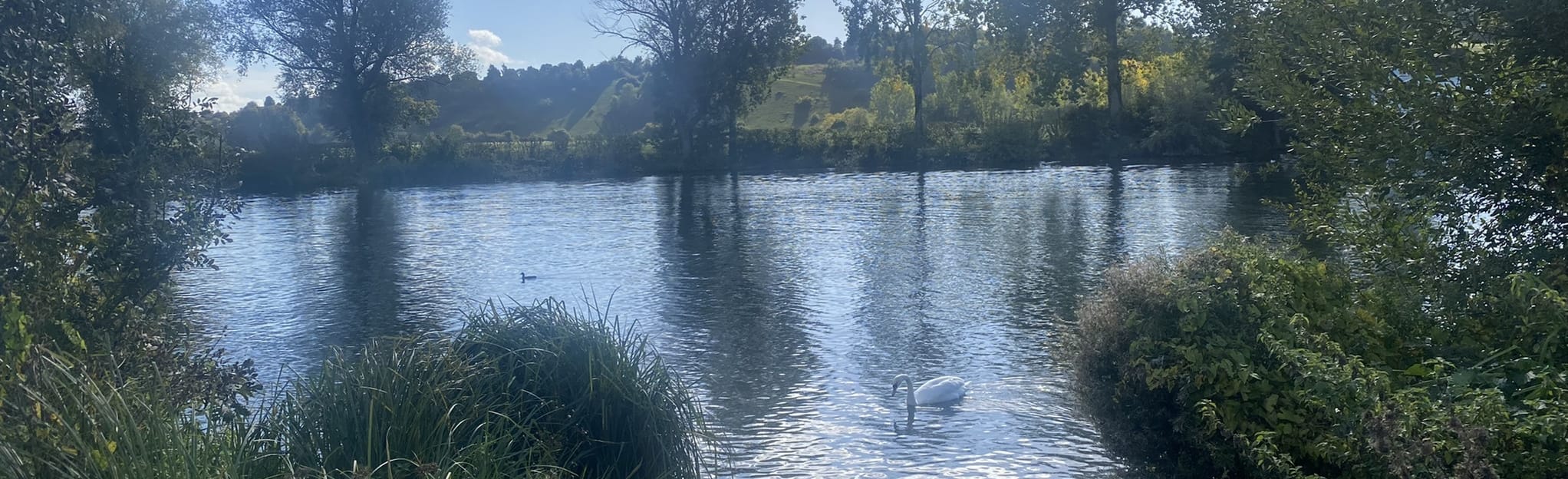 Spade Oak Lake Circular, Berkshire, England - 58 Reviews, Map | AllTrails