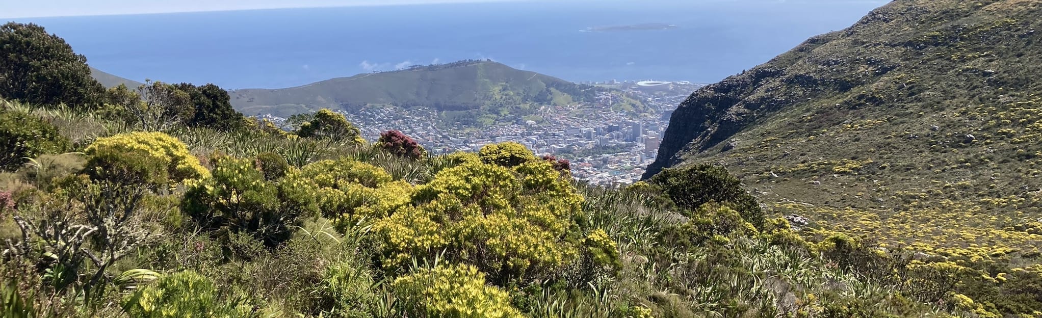 Newlands Ravine via Dark Gorge, Western Cape, South Africa - 89 Reviews ...