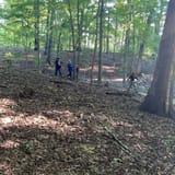 Saunders Springs Nature Preserve Loop, Kentucky - 384 Reviews, Map ...