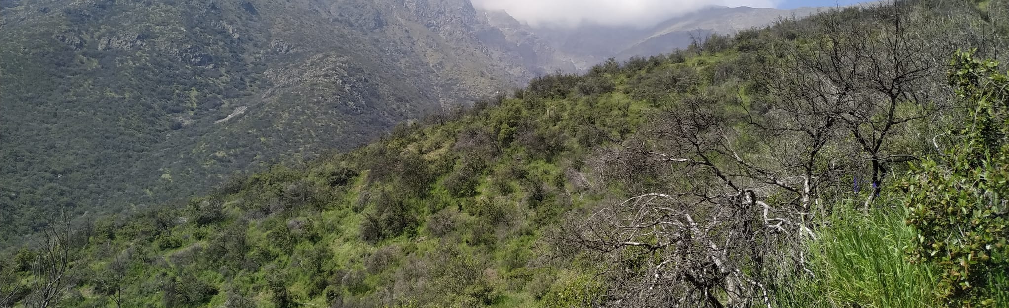 Mirador Sendero de Chile, Santiago, Chile - 9 Reviews, Map | AllTrails