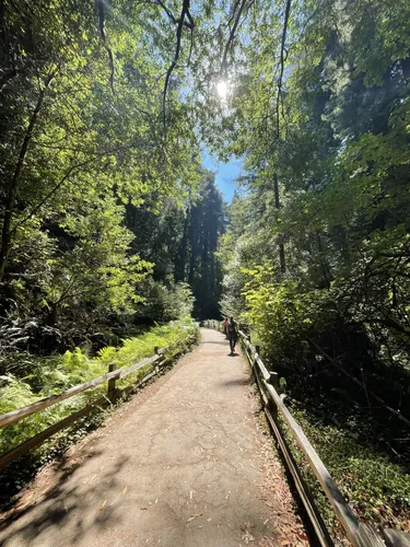 10 Best Partially Paved Trails in Mill Valley | AllTrails