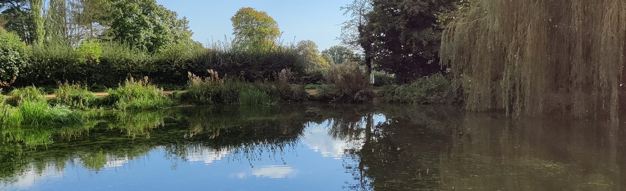 Slindon Park Circular Walk: 110 fotos - West Sussex, Inglaterra | AllTrails