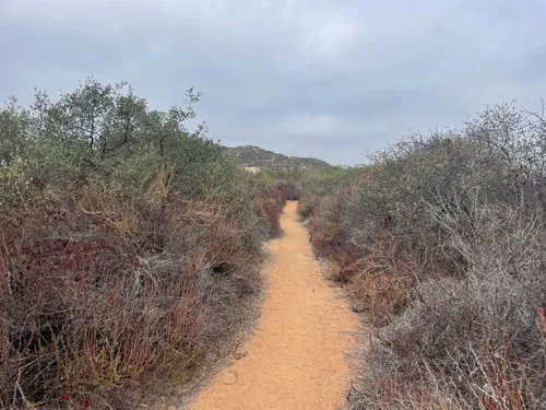 Best Hikes and Trails in Crestridge Ecological Reserve | AllTrails