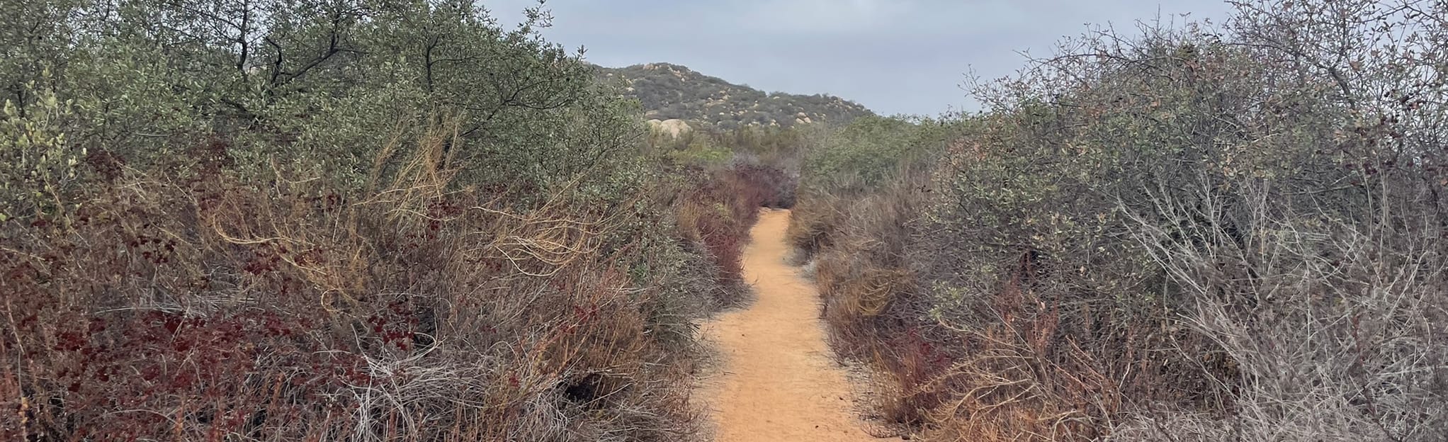 A Game and Cross Timbers Trail Loop, California - 195 Reviews, Map ...