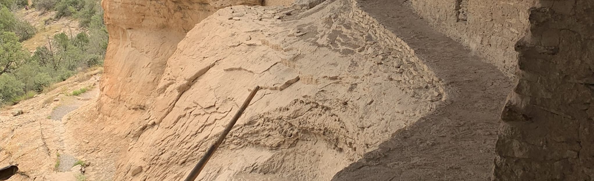 Queets River Trail: 19 Reviews, Map - Washington | AllTrails