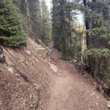 Hope Pass via Willis Gulch Trail [CLOSED], Colorado - 386 Reviews, Map ...