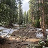 Hope Pass via Willis Gulch Trail [CLOSED], Colorado - 386 Reviews, Map ...