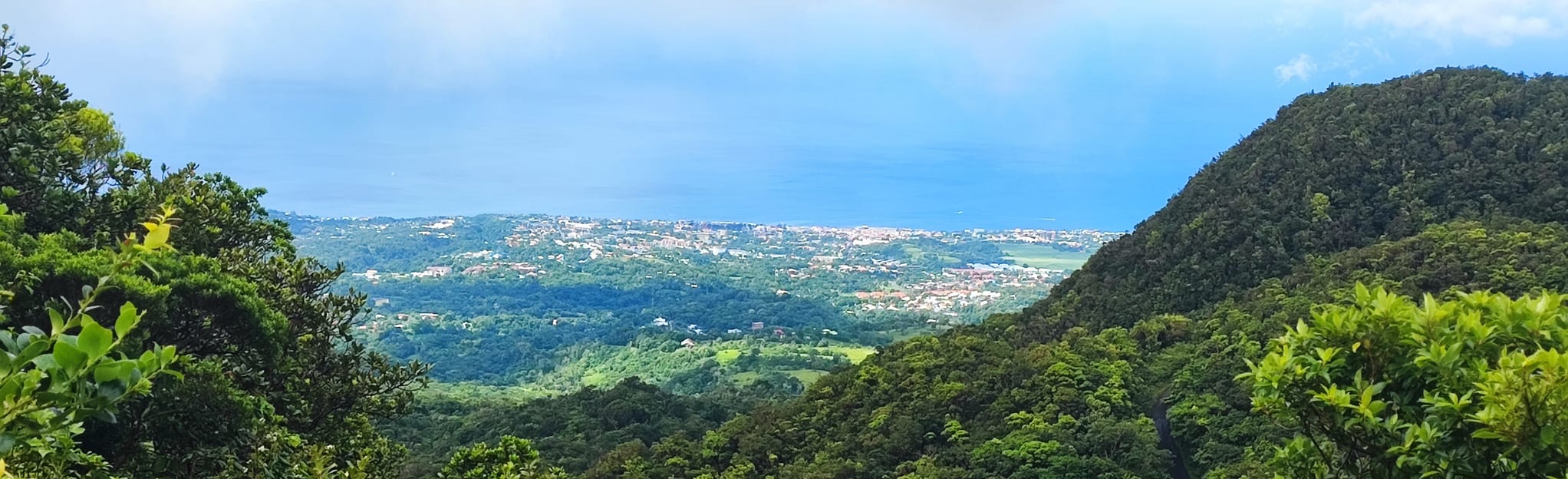 La Citerne - Col de l'Échelle - La Soufrière: 252 fotos - Basse-Terre ...