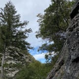 Burch Creek Trail, Utah - 659 Reviews, Map | AllTrails