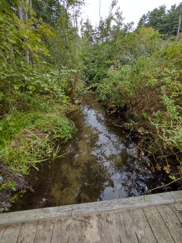 Best Hikes and Trails in Crooked Spring Reservation | AllTrails