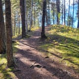 Berman Lake Trail, British Columbia, Canada - 14 Reviews, Map | AllTrails