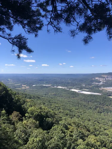 10 Best Trails and Hikes in Chattanooga | AllTrails