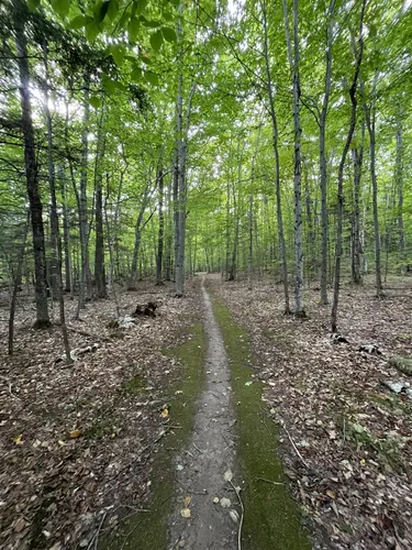 Best 10 Hiking Trails in Peninsula State Park | AllTrails