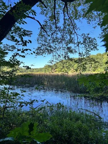 10 Best Hikes and Trails in Allegan State Game Area | AllTrails