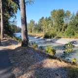 White River Trail, Washington - 363 Reviews, Map | AllTrails