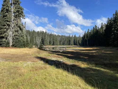 10 Best Trails and Hikes in Packwood | AllTrails