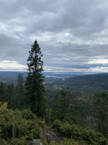 10 Best Views Trails in Mellomkollen Nature Reserve | AllTrails