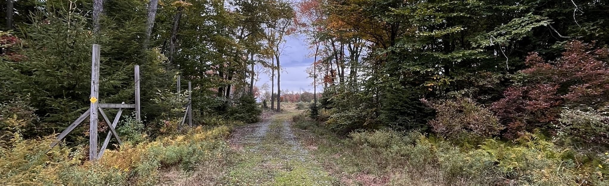 Thomas Darling Preserve Loop: 11 Reviews, Map - Pennsylvania | AllTrails