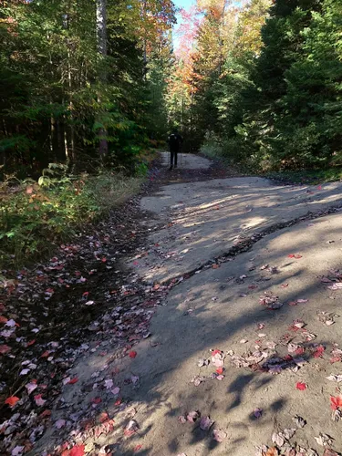 2023 Best Trails, Walks, and Paths in Kinmount | AllTrails