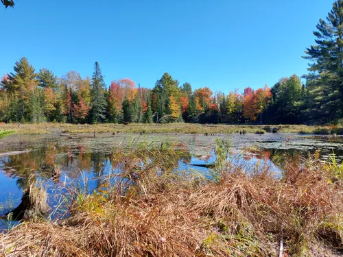 2023 Best Trails, Walks, and Paths in Kinmount | AllTrails