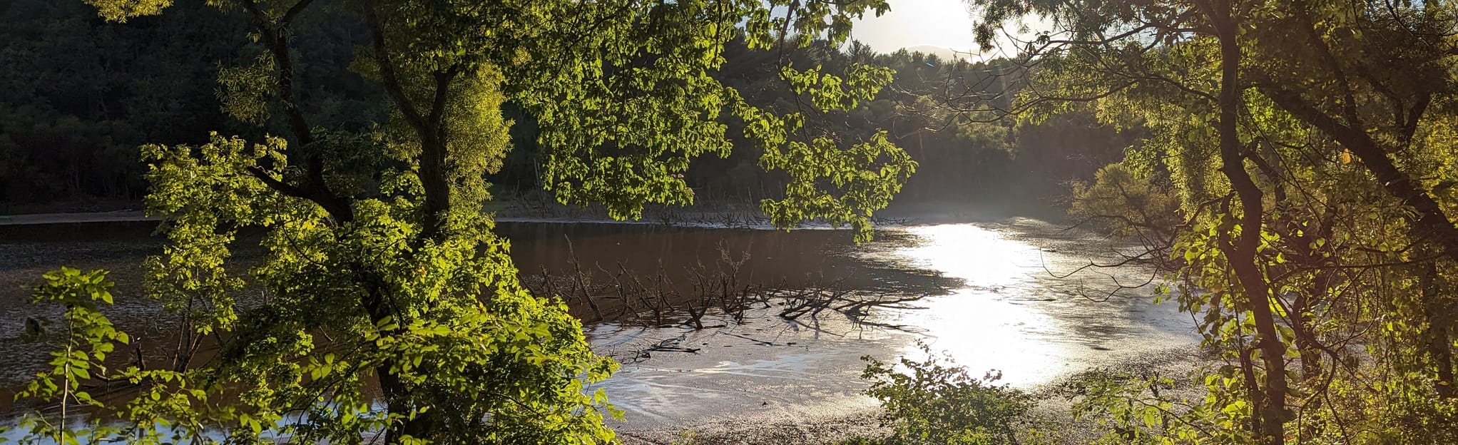 Morgan Run West Fire Trail, Maryland - 431 Reviews, Map | AllTrails