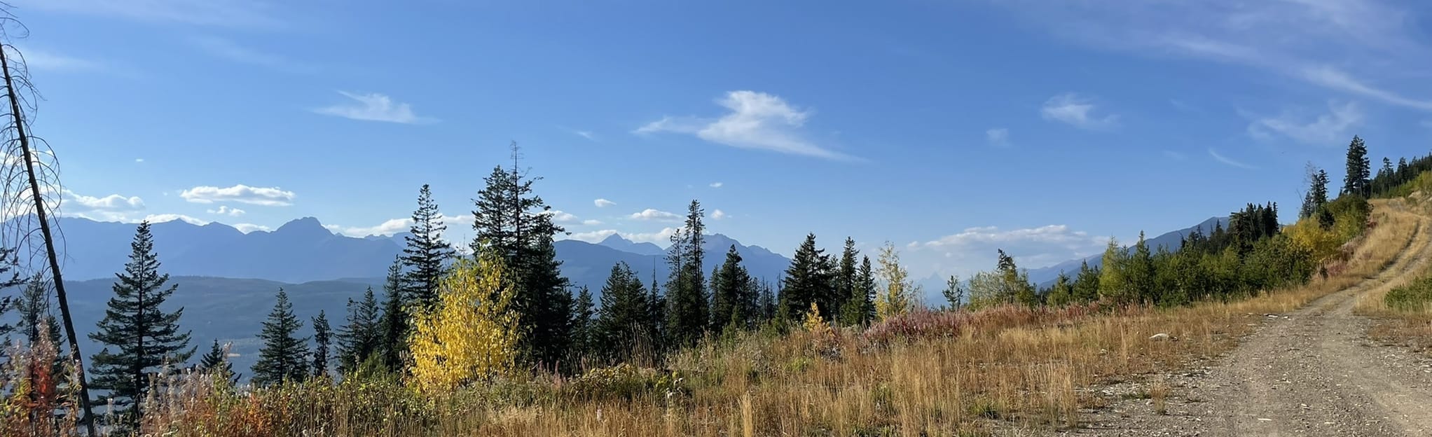 Quinn Peak: 4 Reviews, Map - British Columbia, Canada | AllTrails