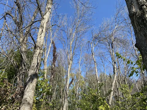 Best Hikes and Trails in Grimes Farm and Conservation Center | AllTrails