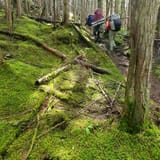Spectrum Lake Trail, British Columbia, Canada - 180 Reviews, Map ...