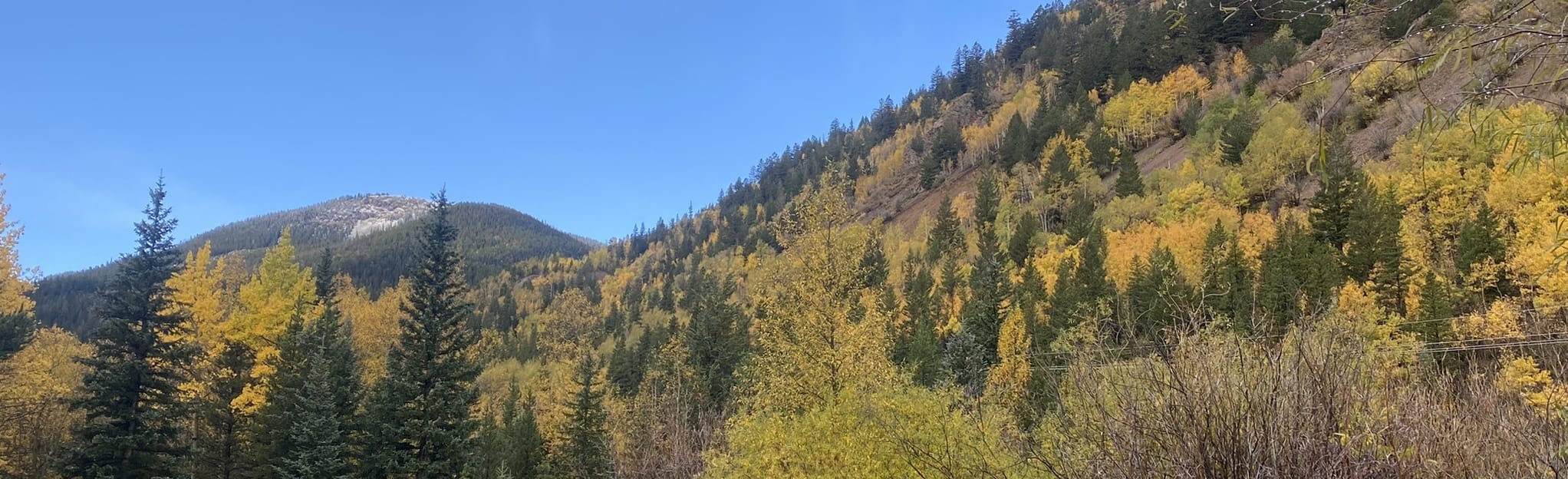 Silverdale Heritage Trail, Colorado - 376 Reviews, Map | AllTrails