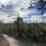 Memmen Ridge Open Space Trail, Colorado - 266 Reviews, Map | AllTrails